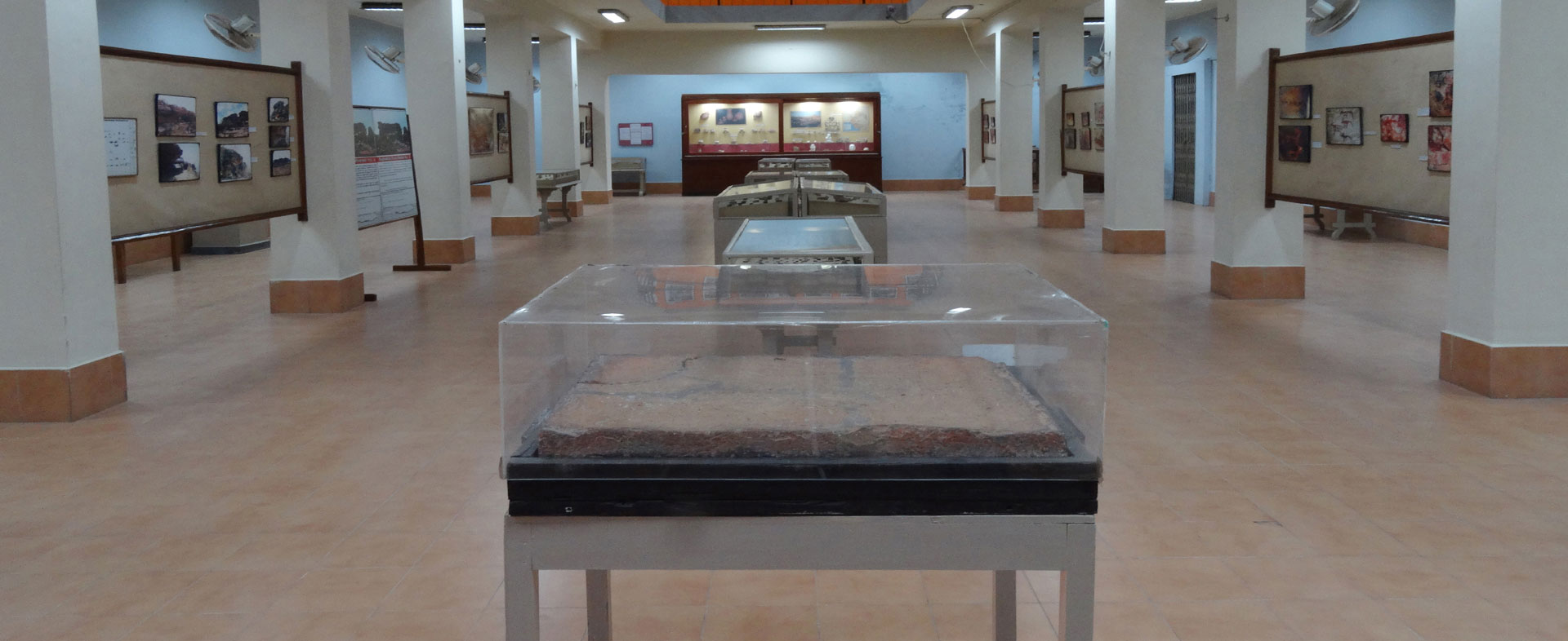 The Allahabad Museum